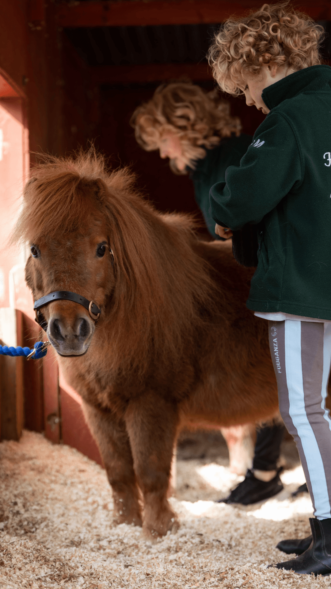 Supported Helper Stable Management Sessions | Festina Lente Enterprises CLG